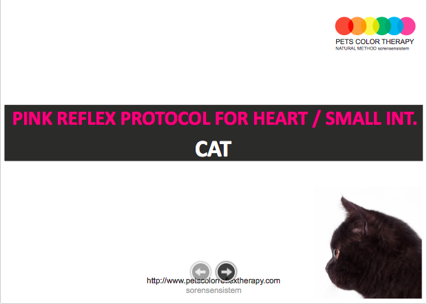 Order Cat Protocol Pink Reflex Therapy – Lone Sorensen