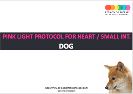 Order Dog Protocol Pink Color Therapy - Online Reflex Therapy for Pets ...